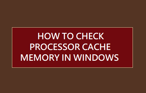 How to Check Processor Cache Memory in Windows 11/10 - Techbout