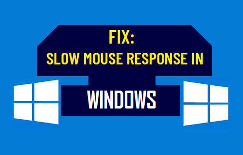 Fix: Slow Mouse Response in Windows 11/10 - Techbout